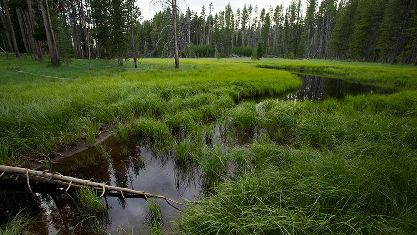 Colorado Water Plan Announcement – Fishpond