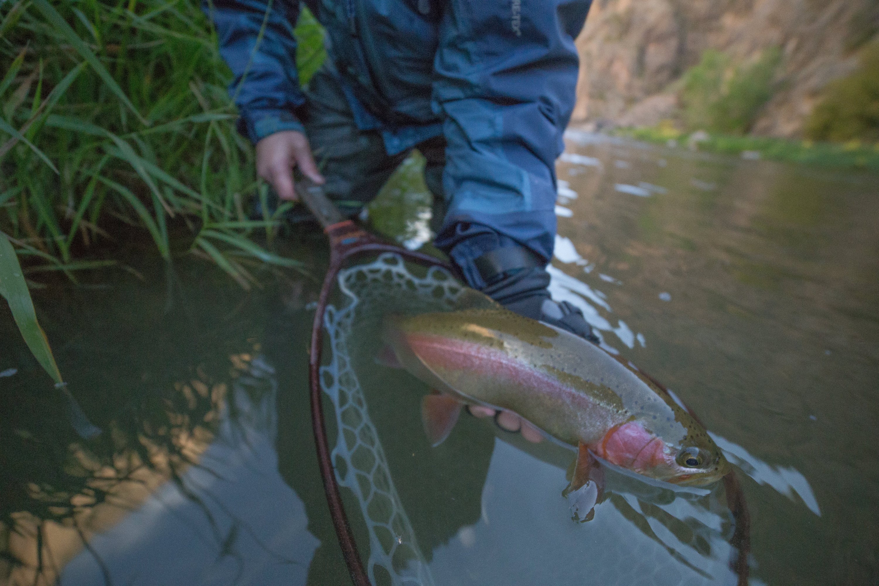 How to choose the right net | Size does matter – Fishpond