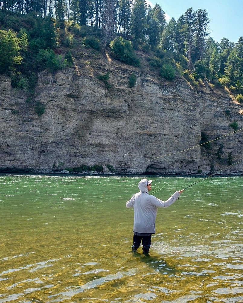 Our Wild – Fishpond