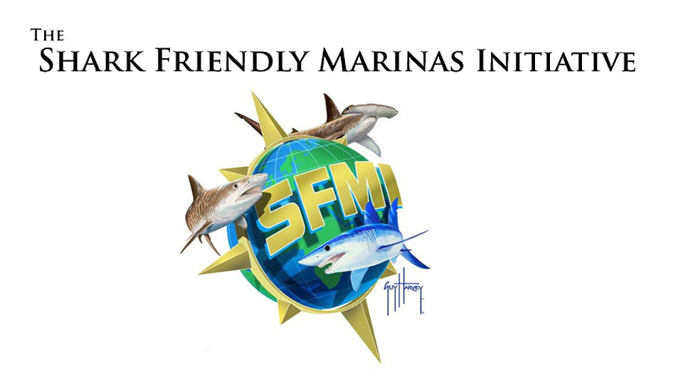 Logotipo De Marina Fm Onda Marina Radio Cumple 30 Años Acercando La
