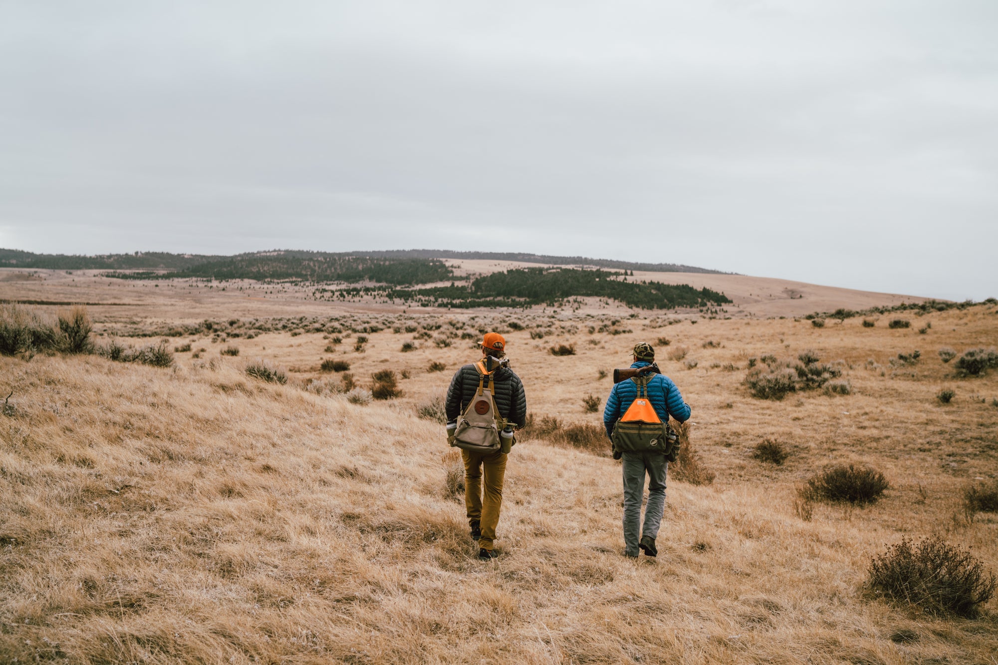 FP Field – Fishpond
