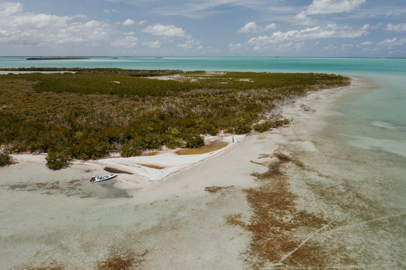 Fishpond | Fishing, Lifestyle & Field Gear