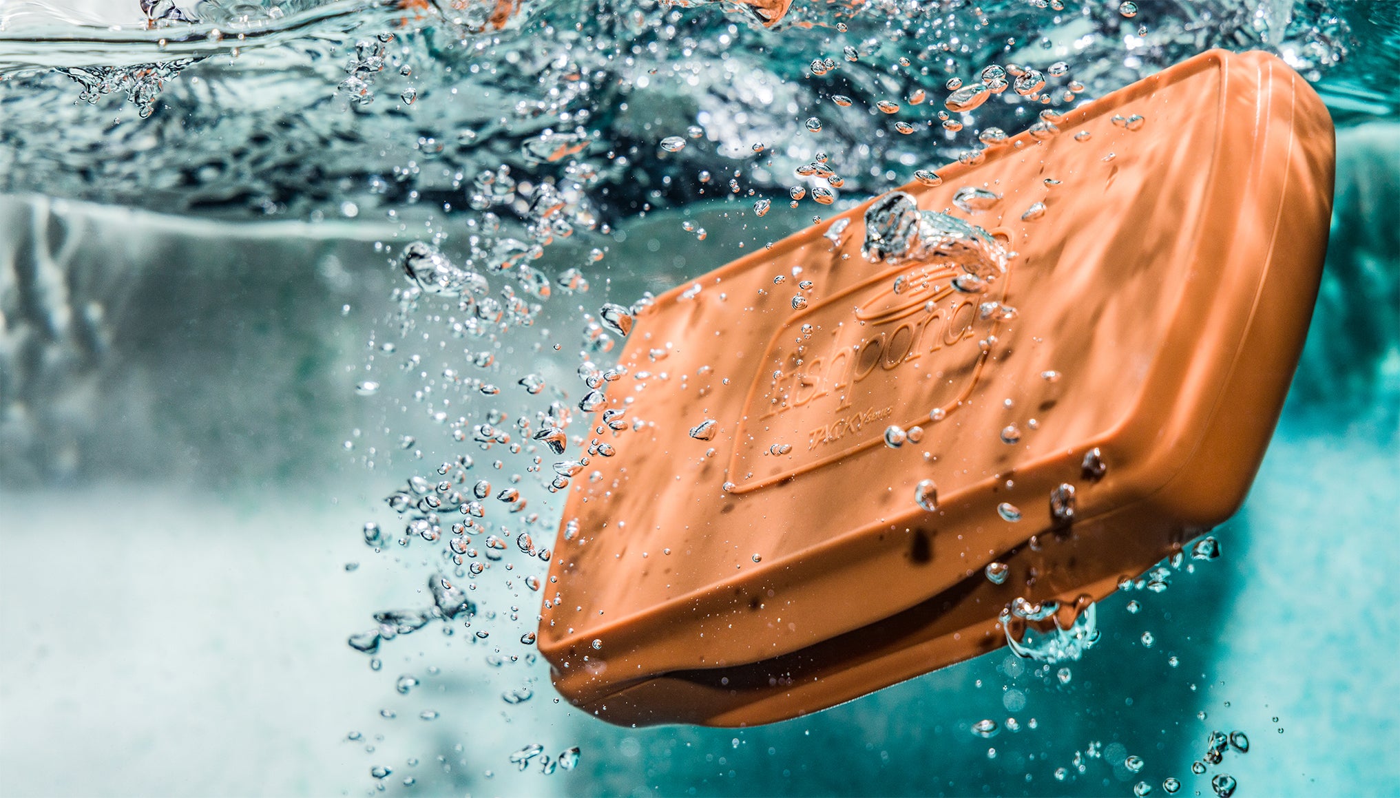 Nomad Canyon Net – Fishpond