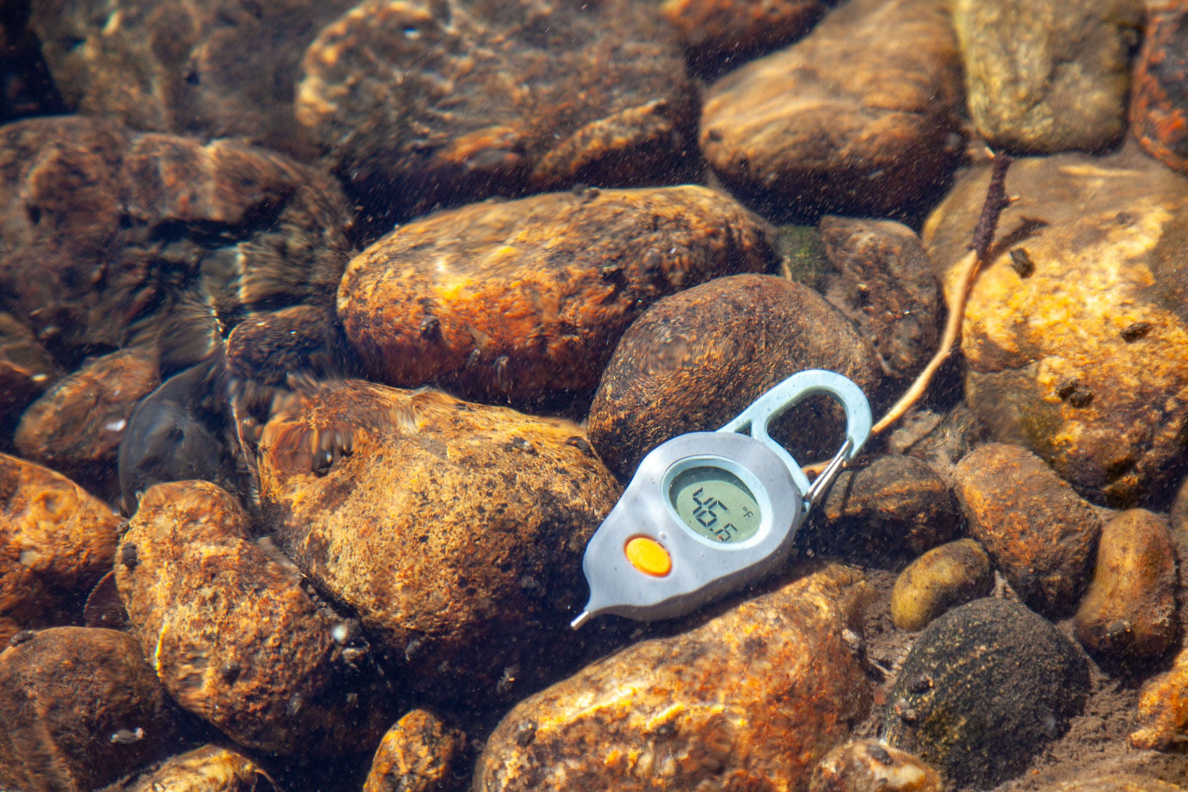 Riverkeeper Digital Thermometer – Fishpond