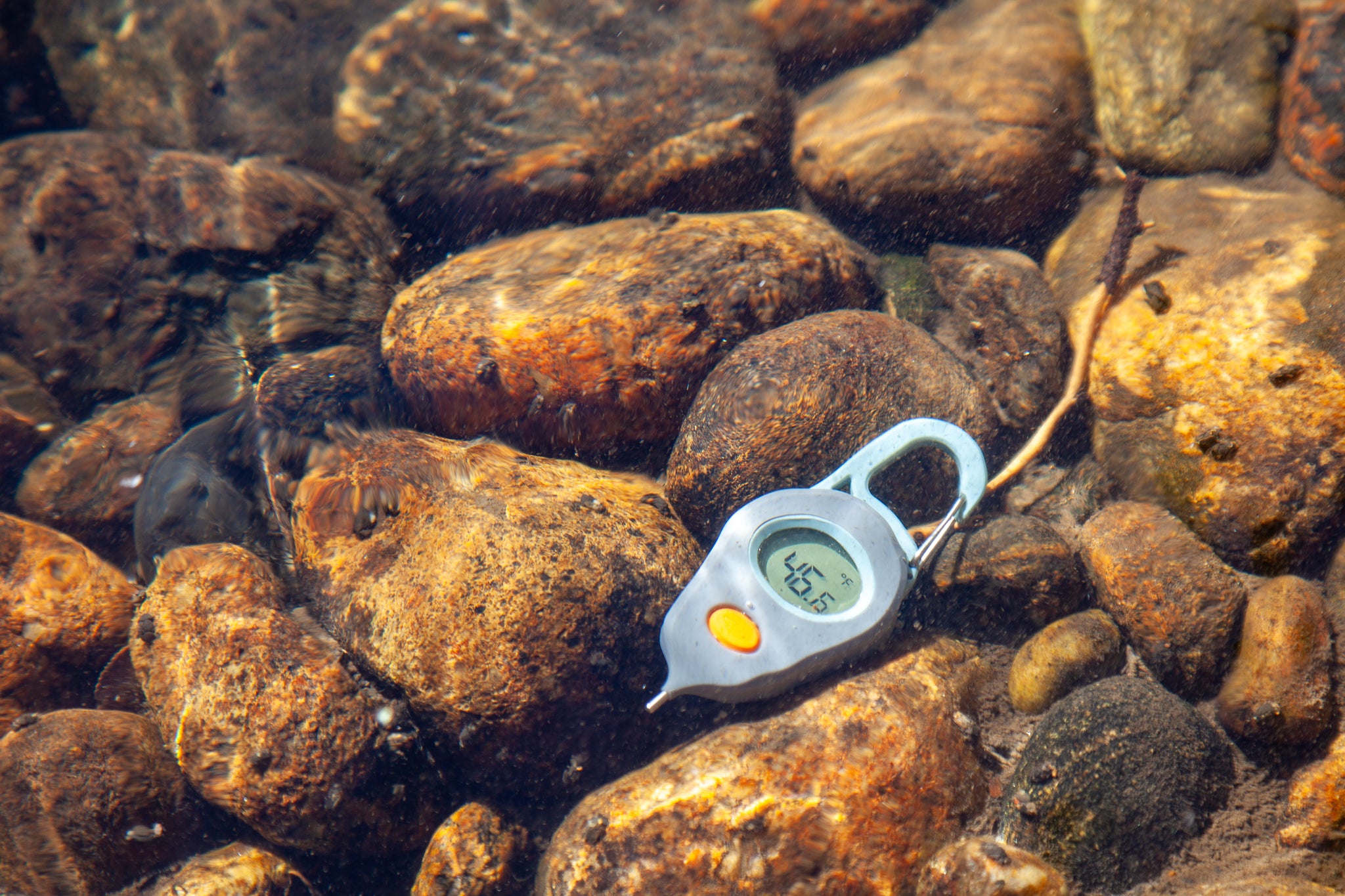 Riverkeeper Digital Thermometer – Fishpond